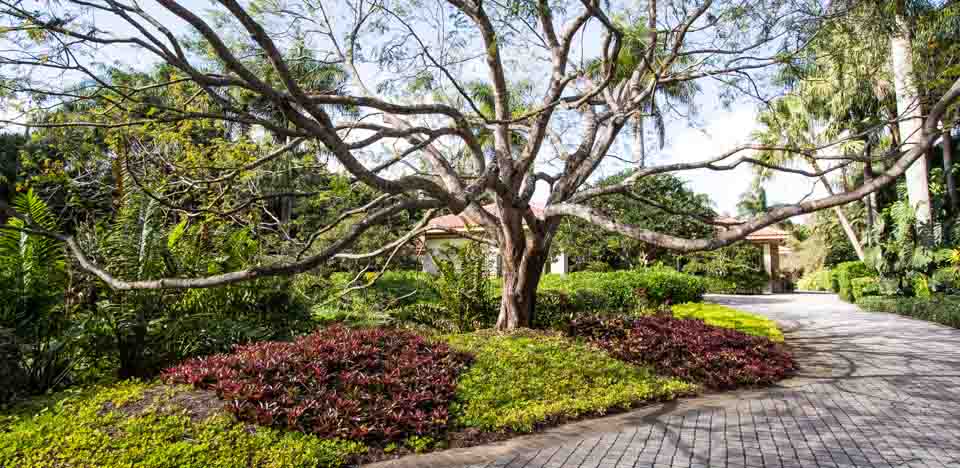 Miami Landscape Designers | Zito Landscape | Miami FL
