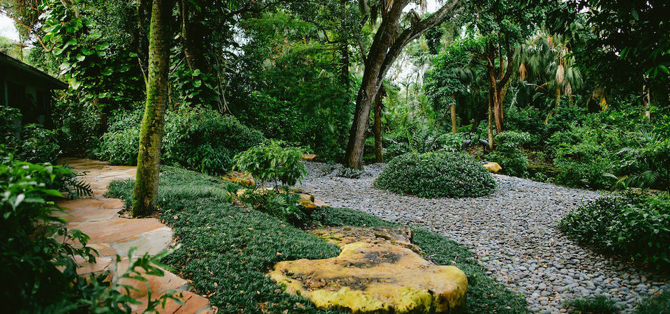 Xerisscape Design Ideas South Florida South Florida Landscaping | Fort