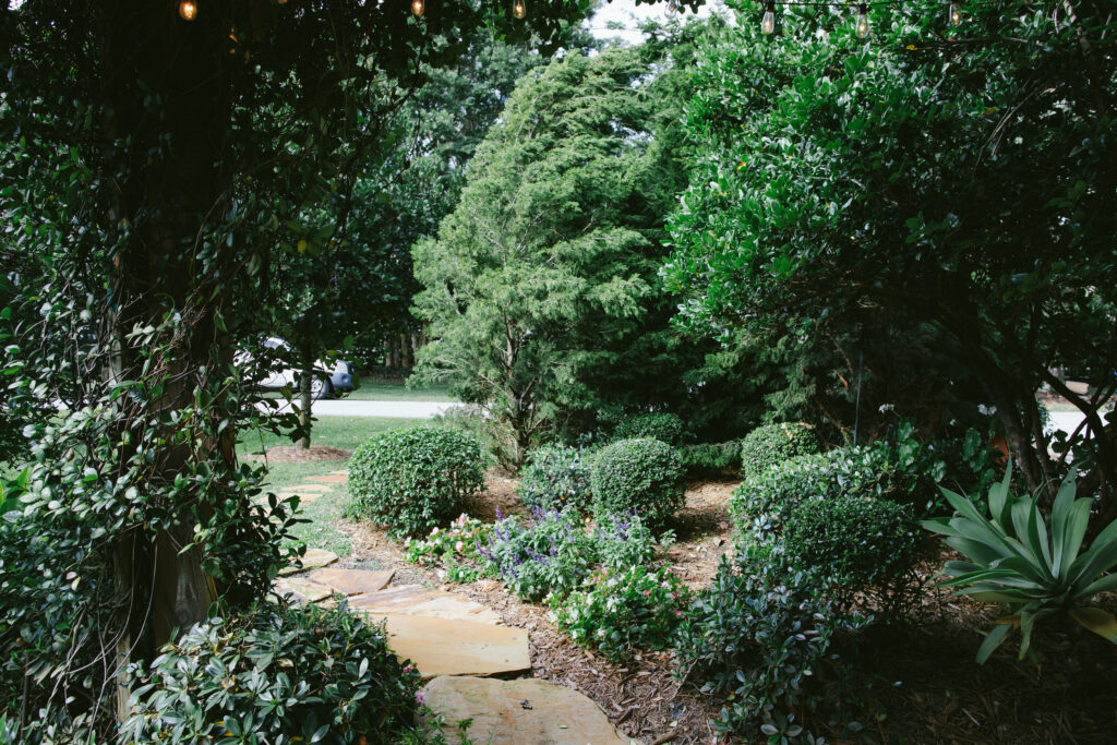 South Florida Privacy Hedge Solutions | ZITO LANDSCAPE DESIGN COMPANY