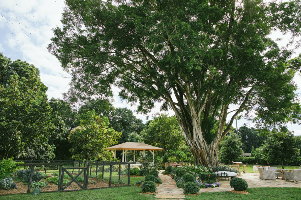 Designing Your Dream Landscape in South Florida | ZITO LANDSCAPE DESIGN ...